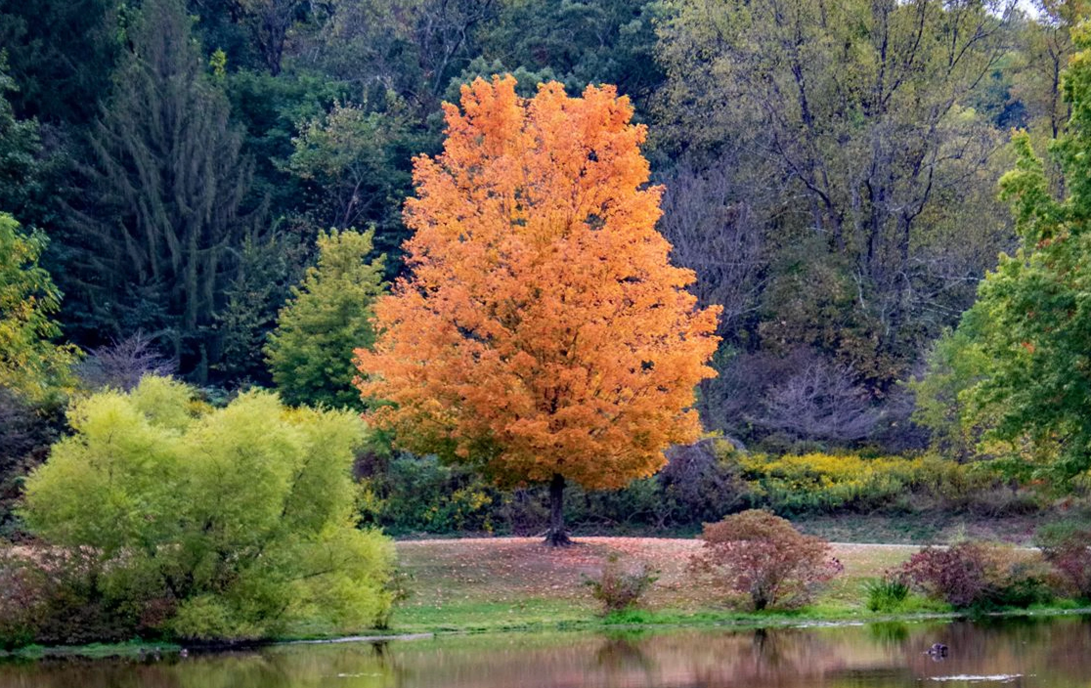 Self Storage for Fall Season | Hello Space Plus
